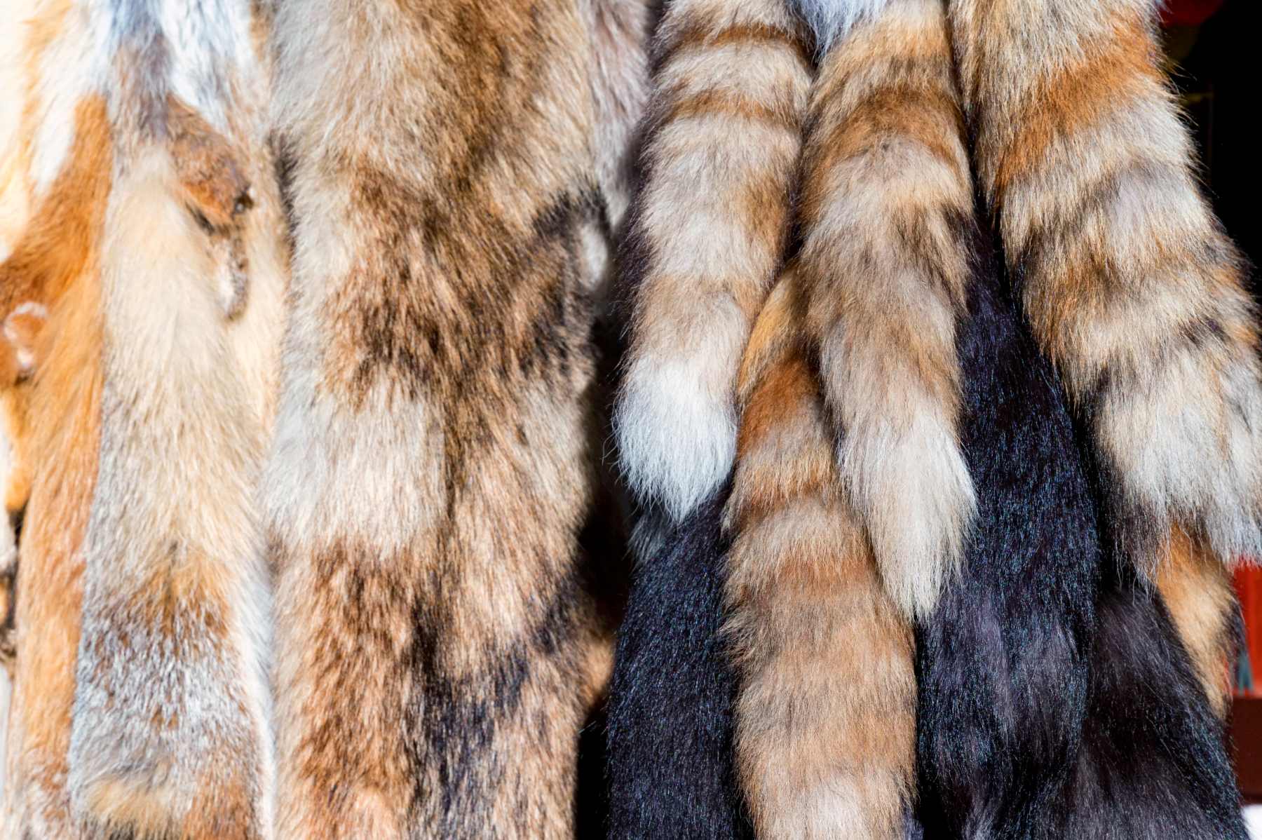 Humidity Control in Fur and Fur Goods Storage | Canada & The US